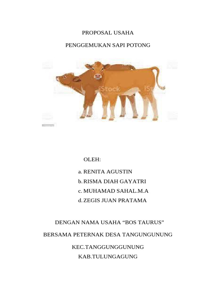 analisa usaha pedaging | PDF