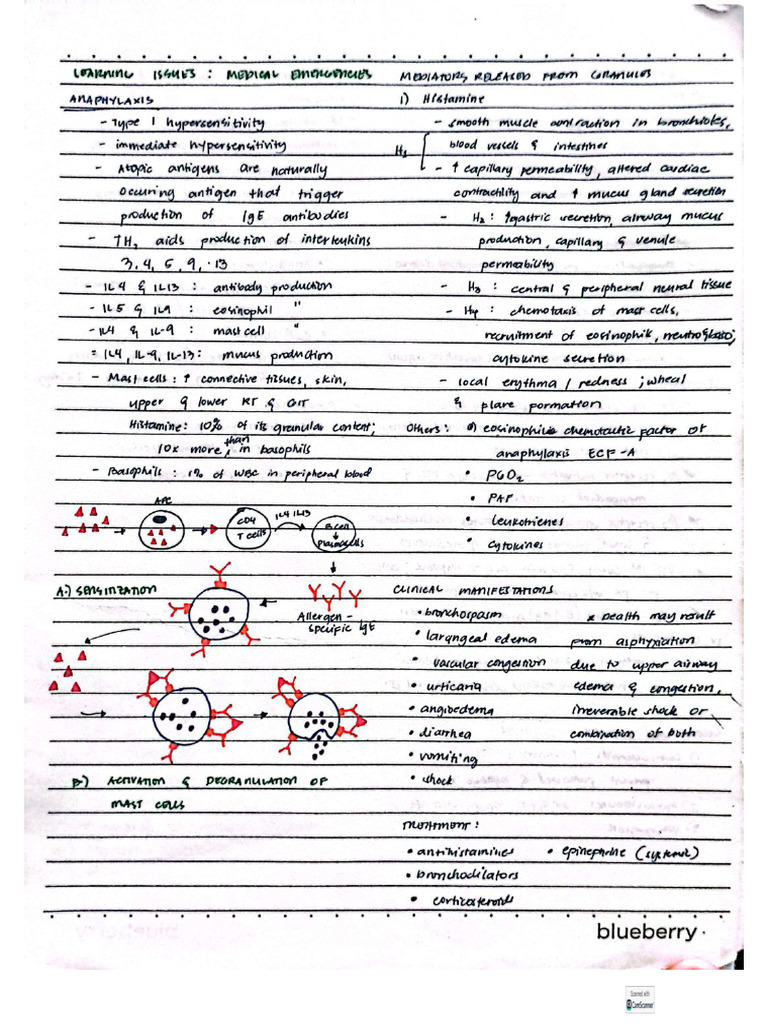 Blue Notes | PDF