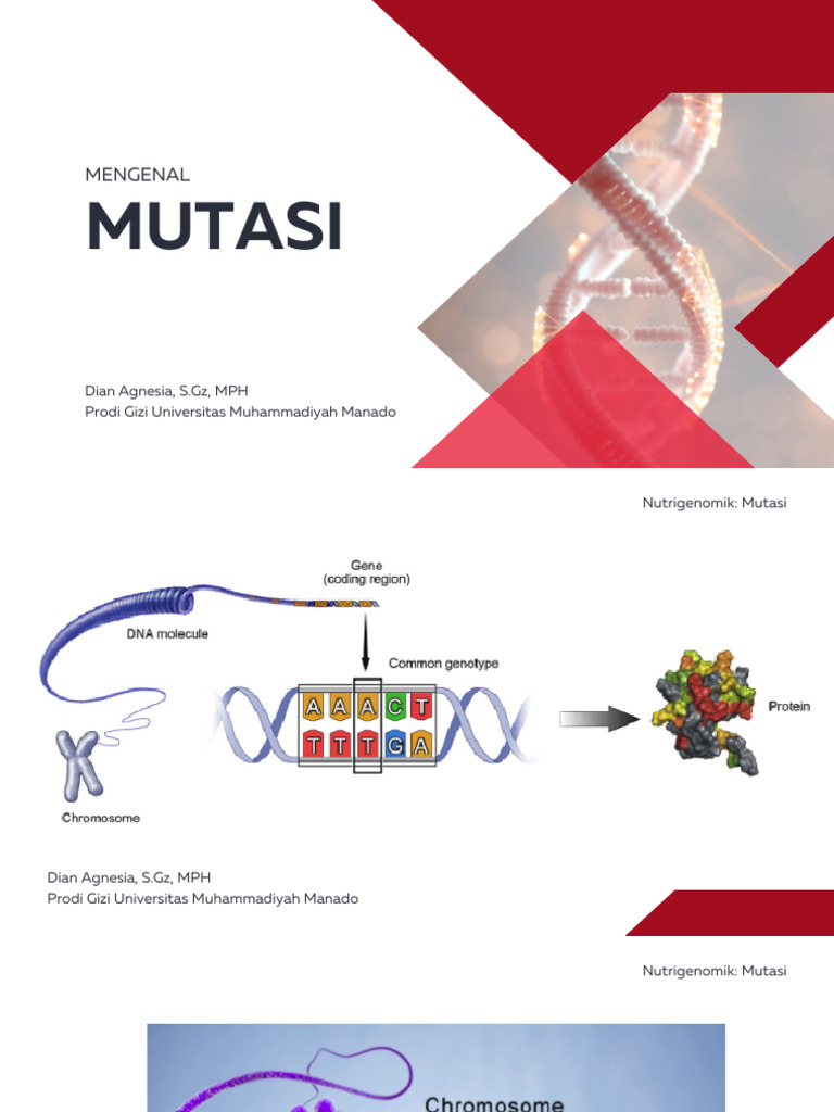 Mutasi Gen | PDF | Mutation | Phenylalanine