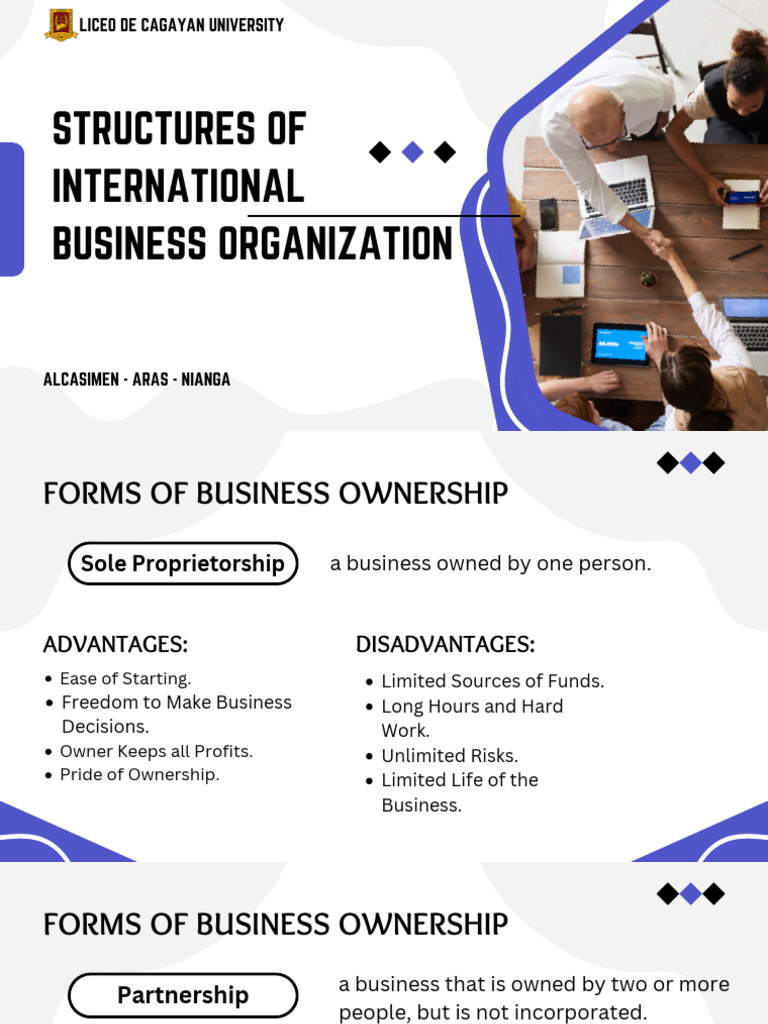 International Business Ownership Structures | PDF | Multinational ...