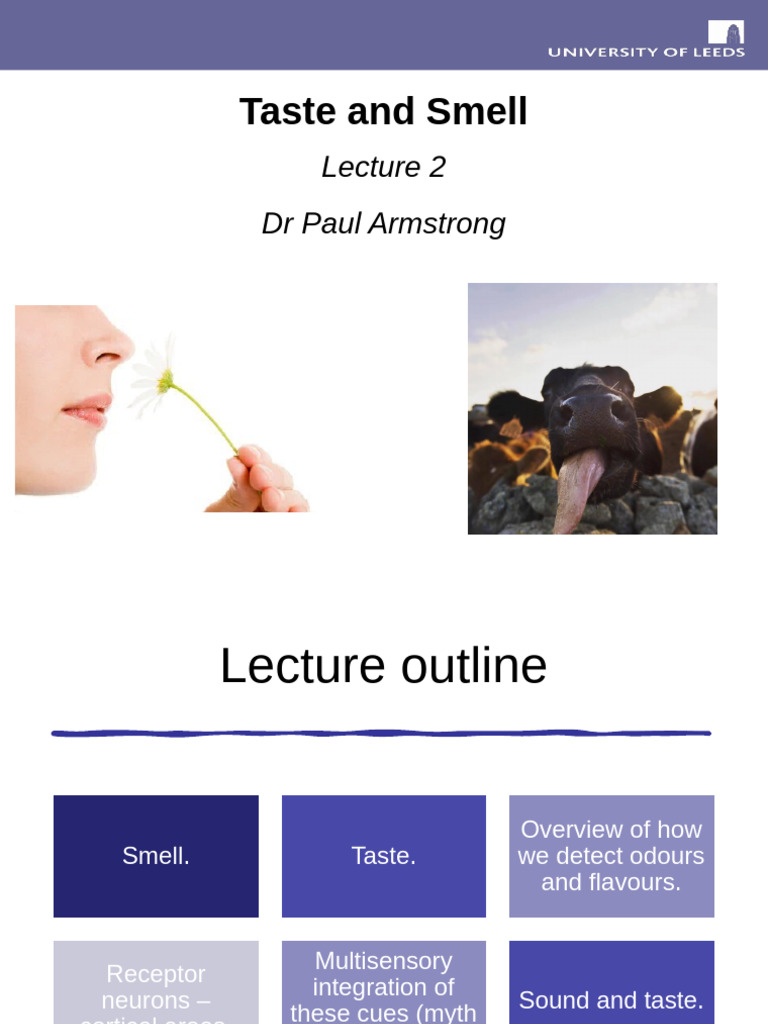 Understanding Taste and Smell Integration | PDF | Taste | Senses