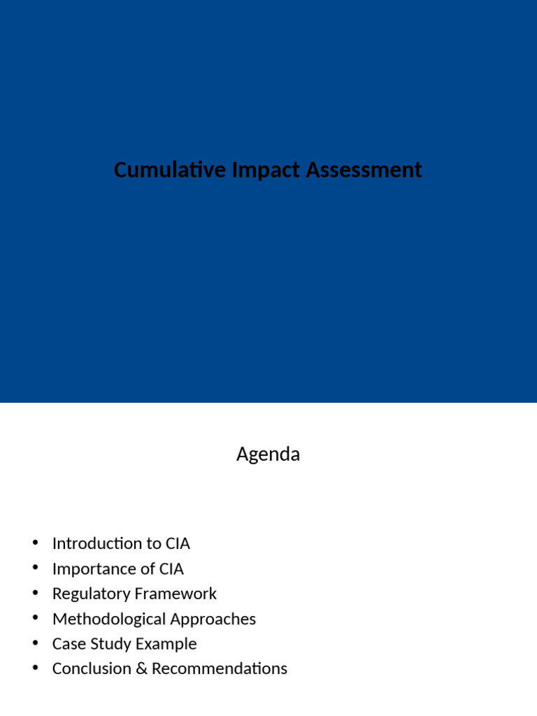 Cumulative Impact Assessment Overview | PDF