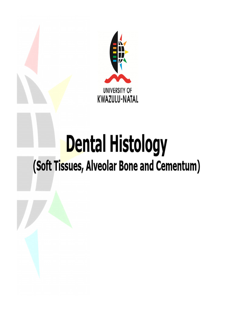 L1 Intro (Dental Histology and Physiology) - 2 | PDF | Epithelium | Mouth