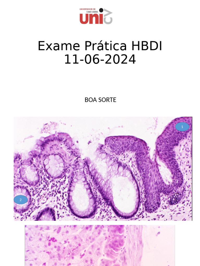 Exame Prática HBDI | PDF