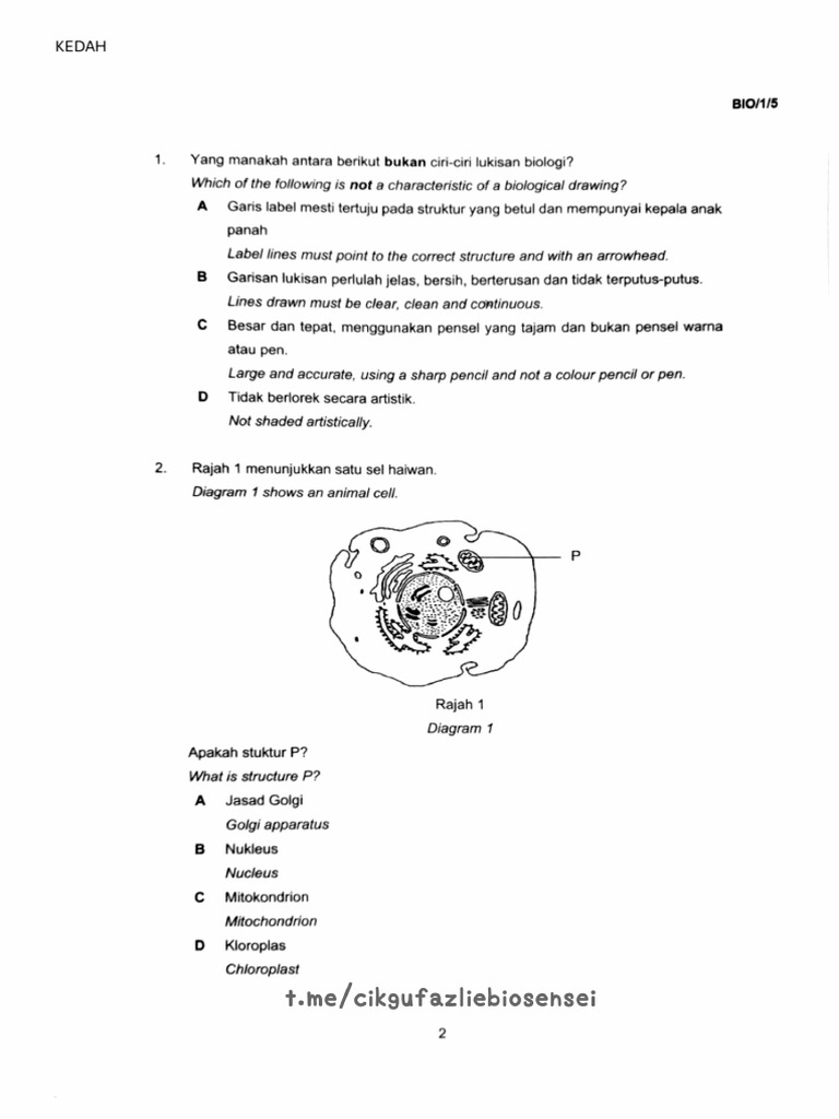 KEDAH 2024 - BIO1 | PDF