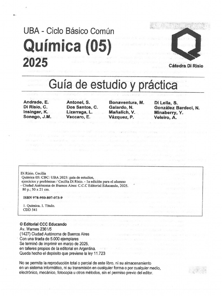 Quimica 05 Di Risio | PDF