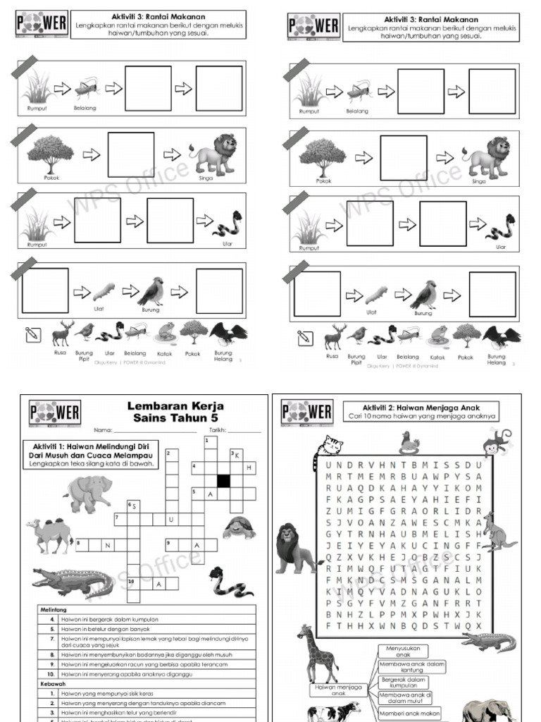 Haiwan Rumusan | PDF