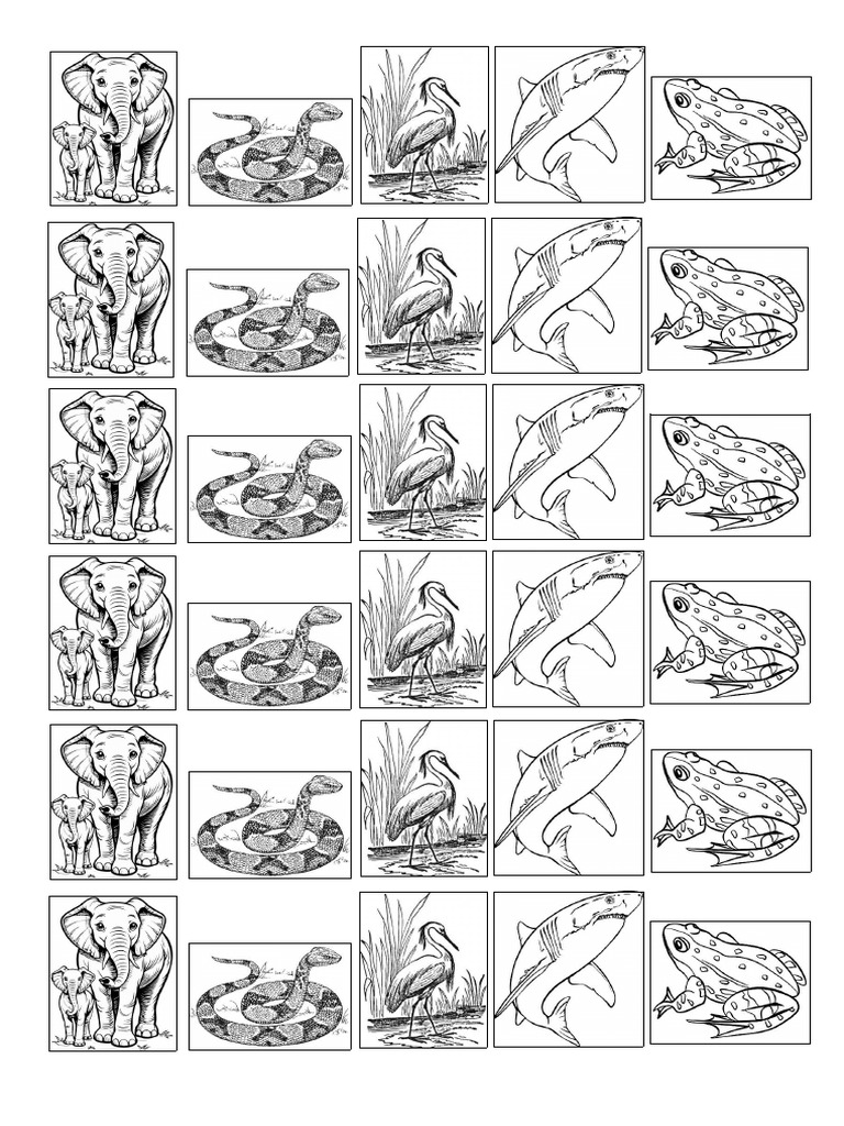 haiwan vertebrata | PDF