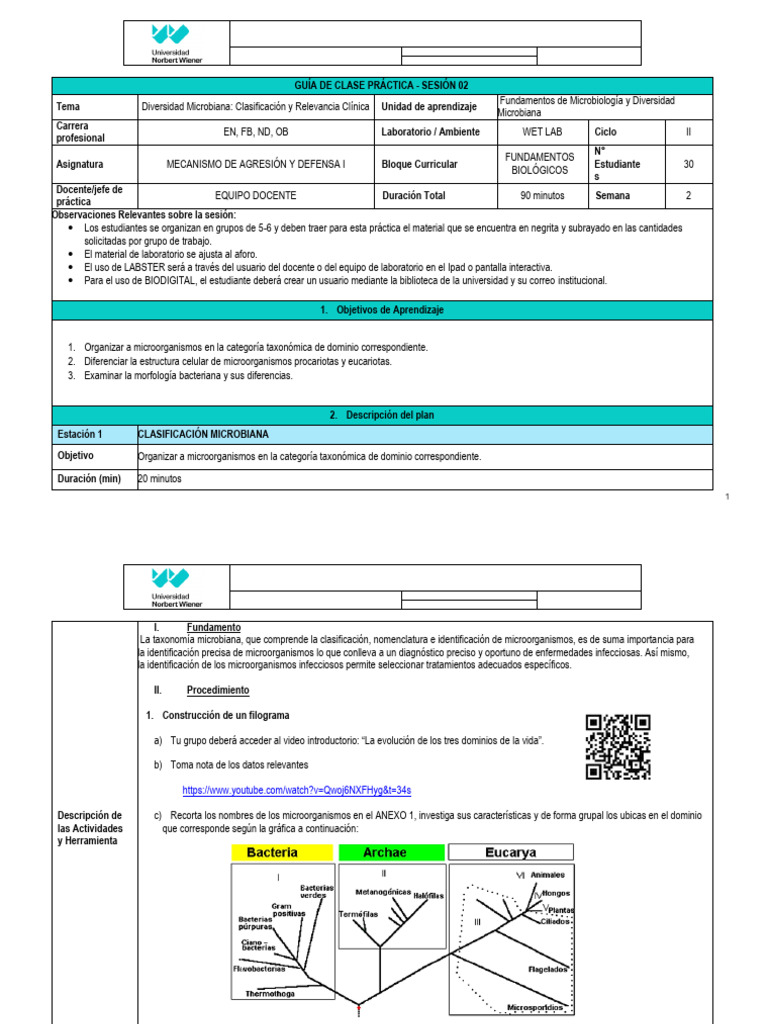 MAD+1 GU%C3%8DA+Pr%C3%A1x.2 Validado | PDF | Las bacterias | Biología ...