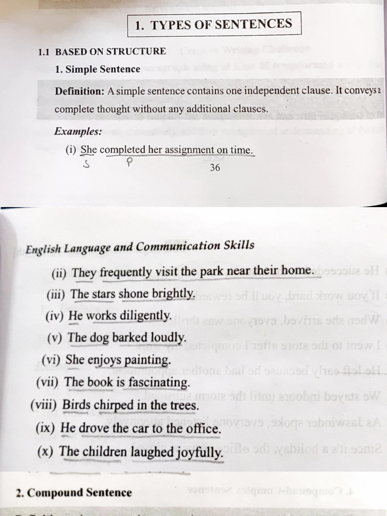 8 Diff Sentences Aec Bcom | PDF