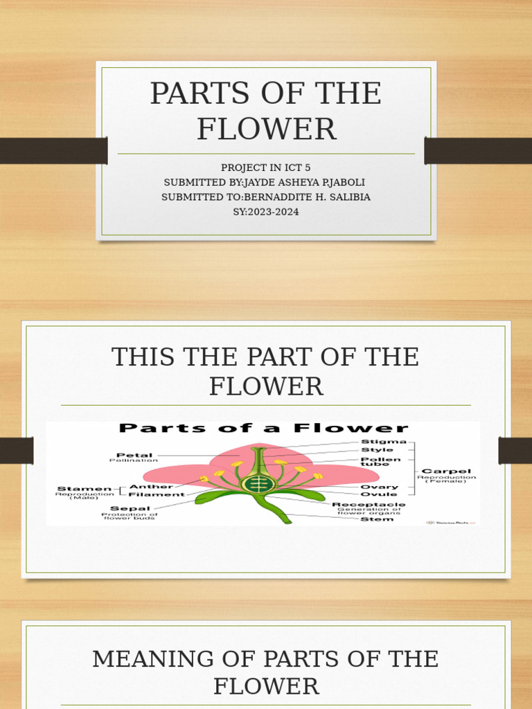 Parts of The Flower | PDF