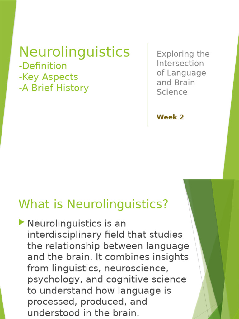 Understanding Neurolinguistics Basics | PDF | Neurolinguistics ...