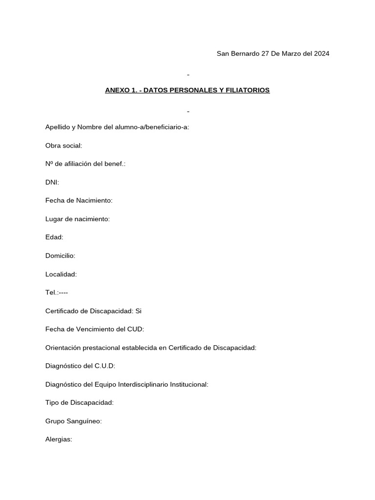 Anexo 1 - Modelo | PDF