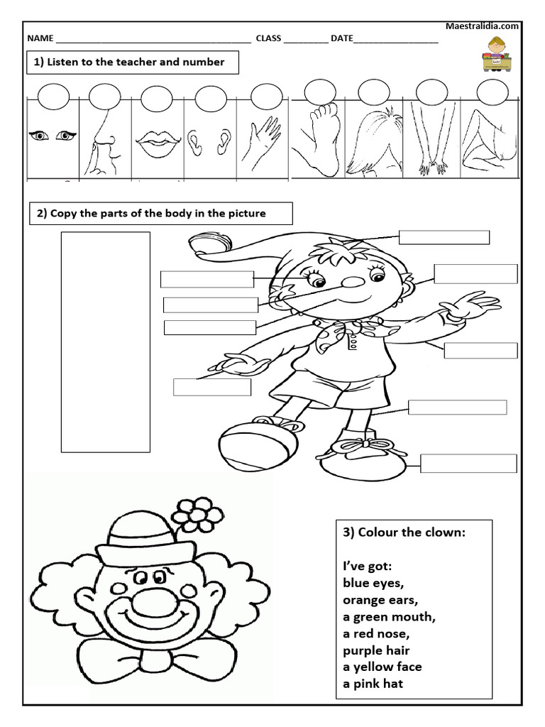 Body Parts Handout 3rd Grade | PDF