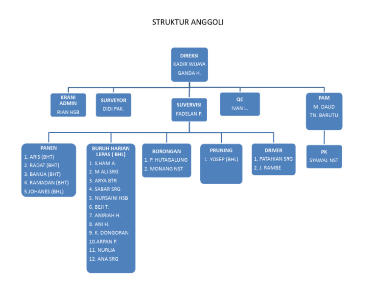 Struktur Organisasi Anggoli 2023 | PDF
