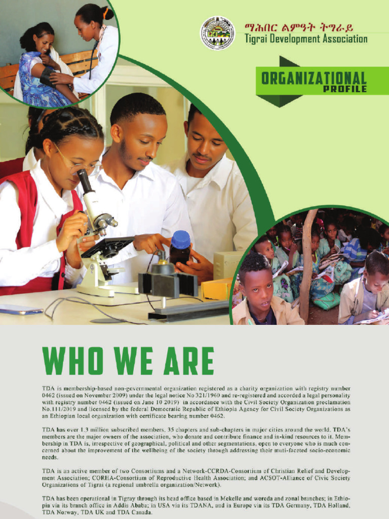 TDA Organizational Profile 3 | PDF