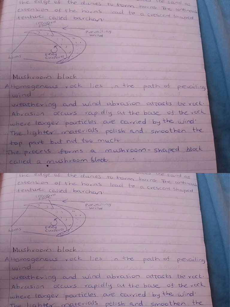 PDF Phoenix 20250428 163613 | PDF