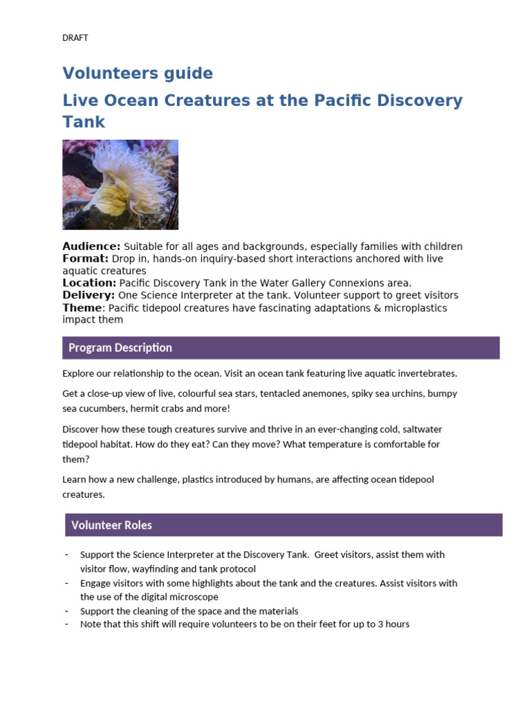 DiscoveryTank For Volunteers E&F | PDF | Zoology