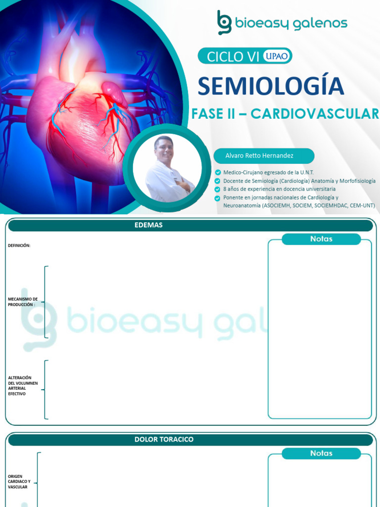 Mapas Cardio Fase II | PDF