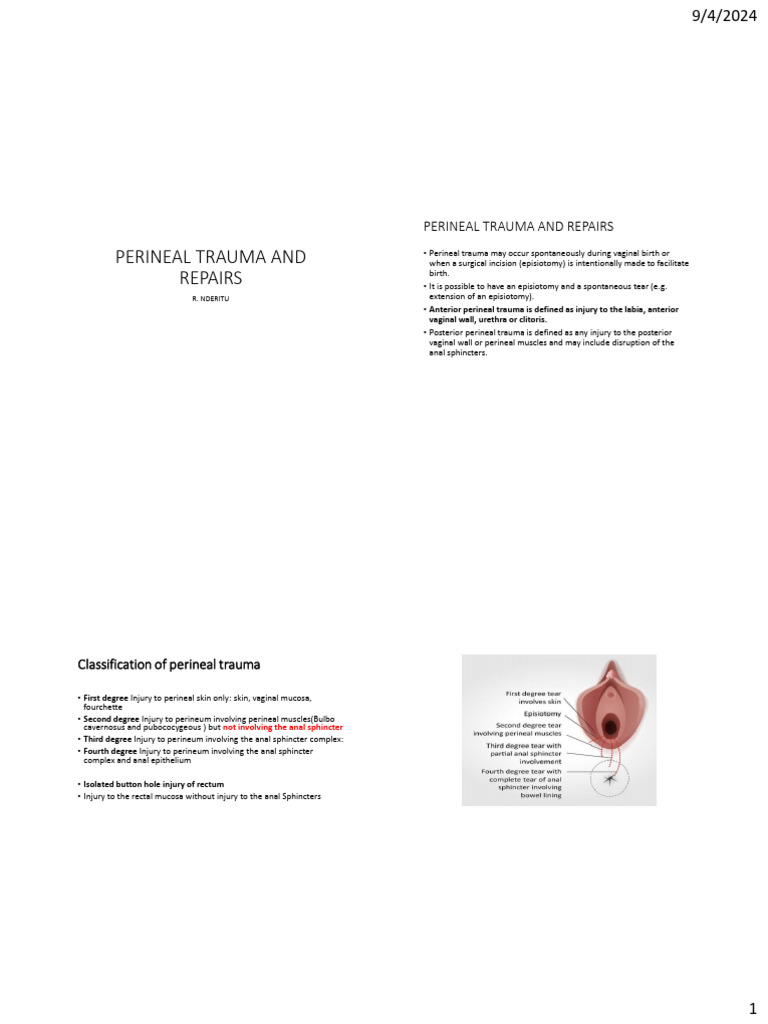 Session 3a - PERINEAL TRAUMA | PDF | Labia | Female Genital Mutilation