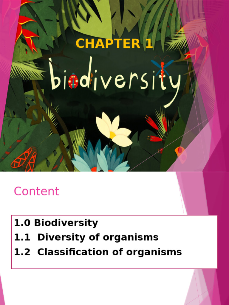 Form 2 Chapter 1 Biodiversity | PDF | Amphibian | Seed