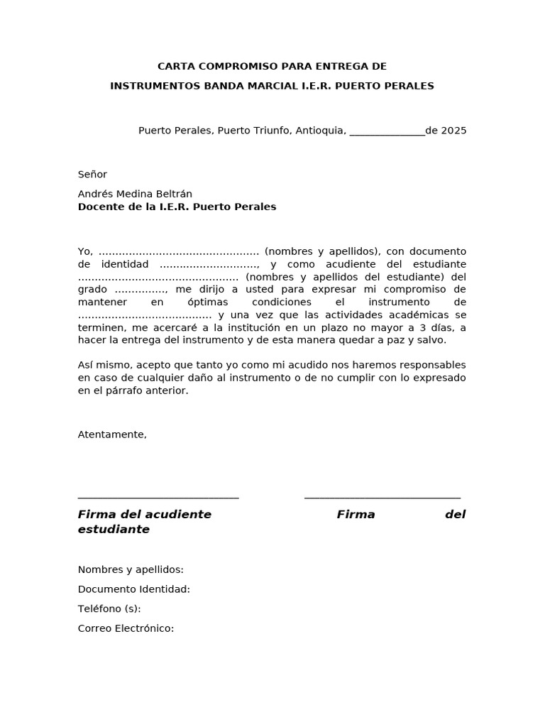 Formato Carta Compromiso | PDF