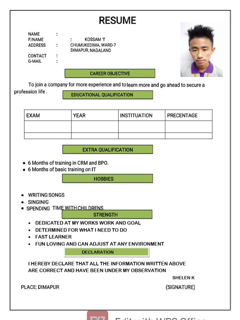 SHELEN RESUME | PDF