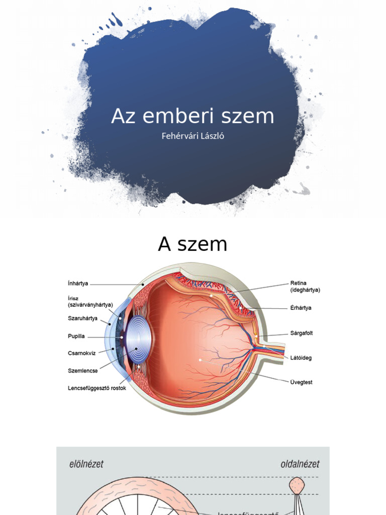 Az Emberi Szem | PDF