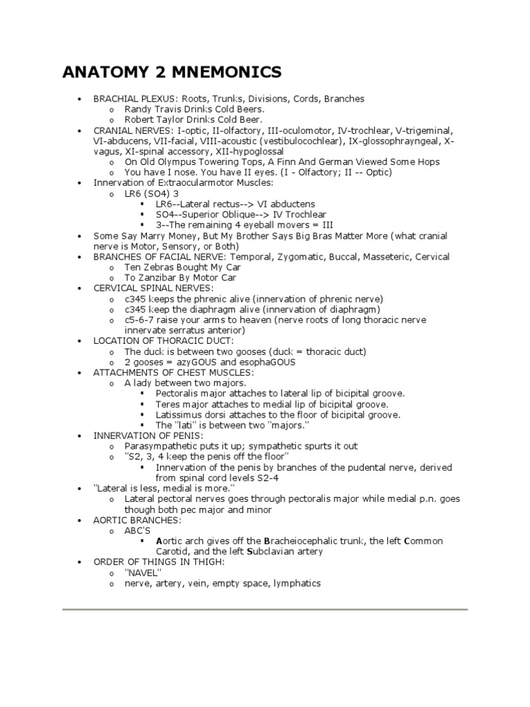 Anatomy Mnemonics | PDF | Common Carotid Artery | Anatomical Terms Of ...