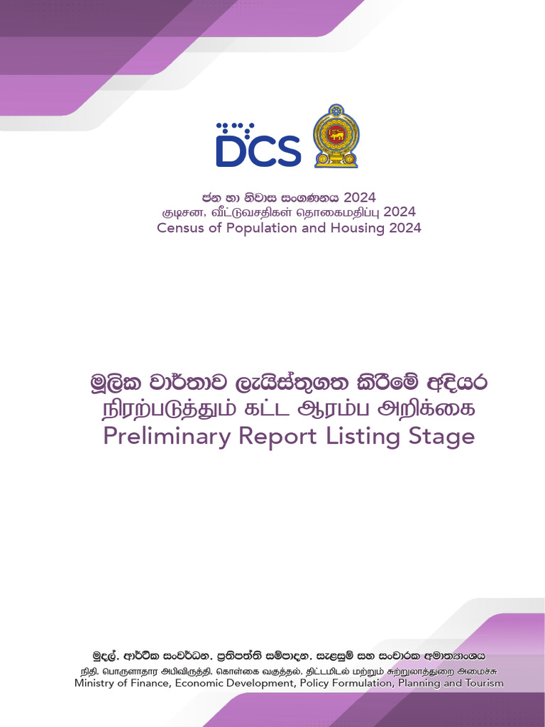 Preliminary Report | PDF