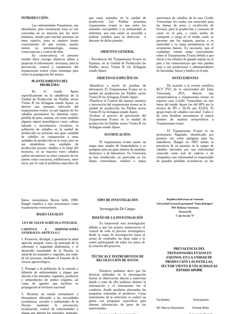 Triptico de Proyecto 3 | PDF