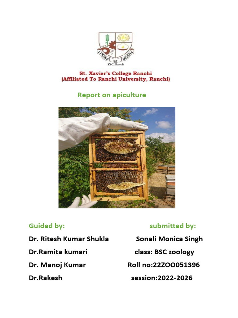 Apiculture Report: Insights and Practices | PDF | Honey Bee | Beekeeping