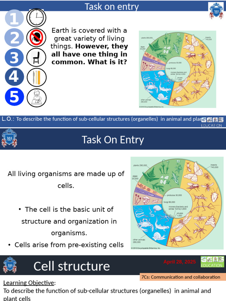 1) Animal & Plant Cells | PDF | Cell (Biology) | Vacuole