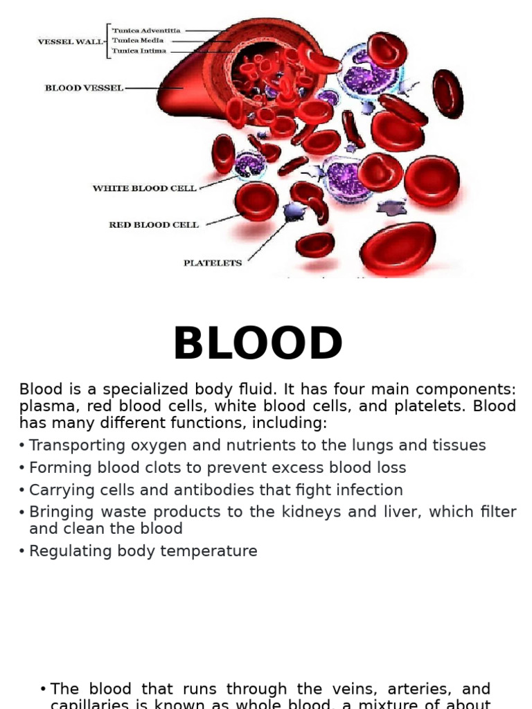 Understanding Blood Components and Functions | PDF | Hemostasis ...