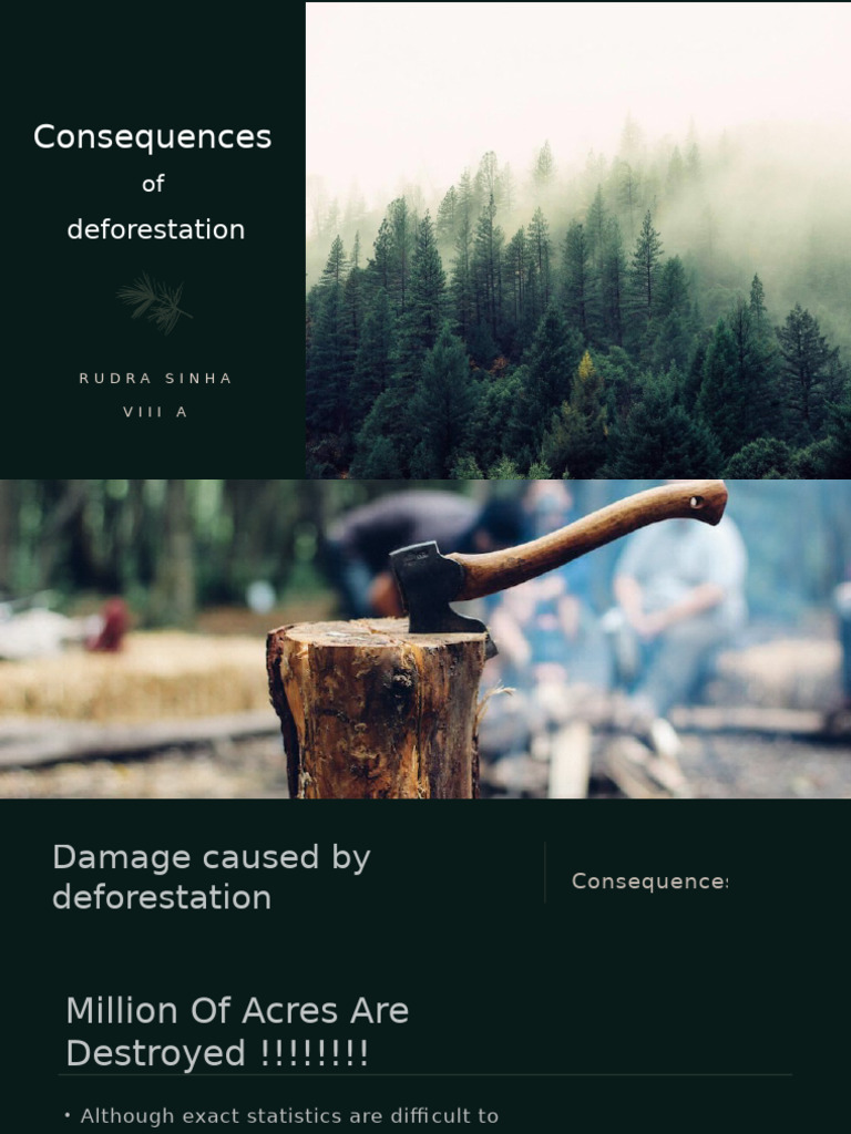 Consequences of Deforestation | PDF