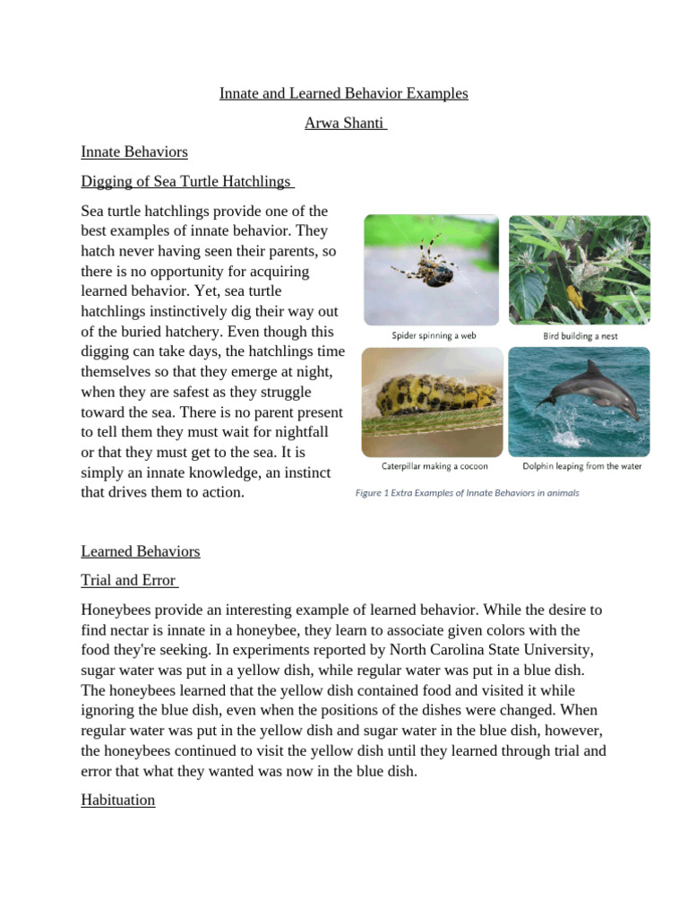 Innate vs. Learned Animal Behaviors | PDF