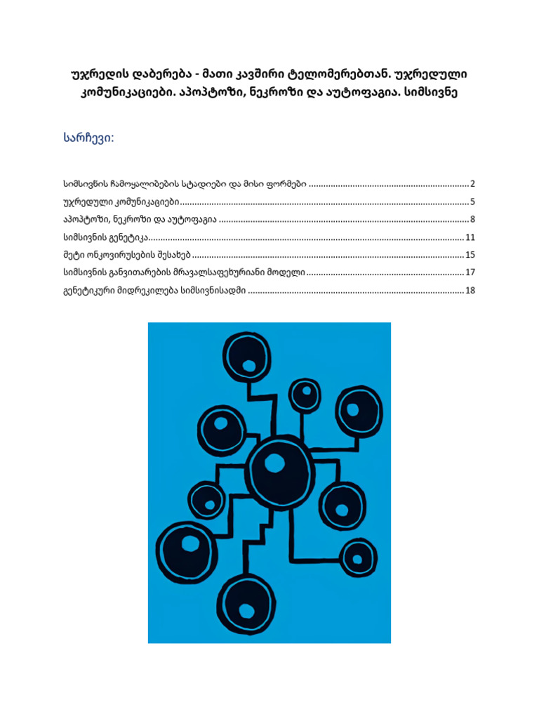 რიდერი 6 midi da egre | PDF