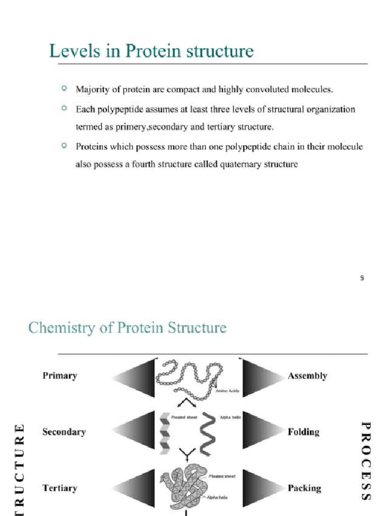 Structure of Proteins | PDF