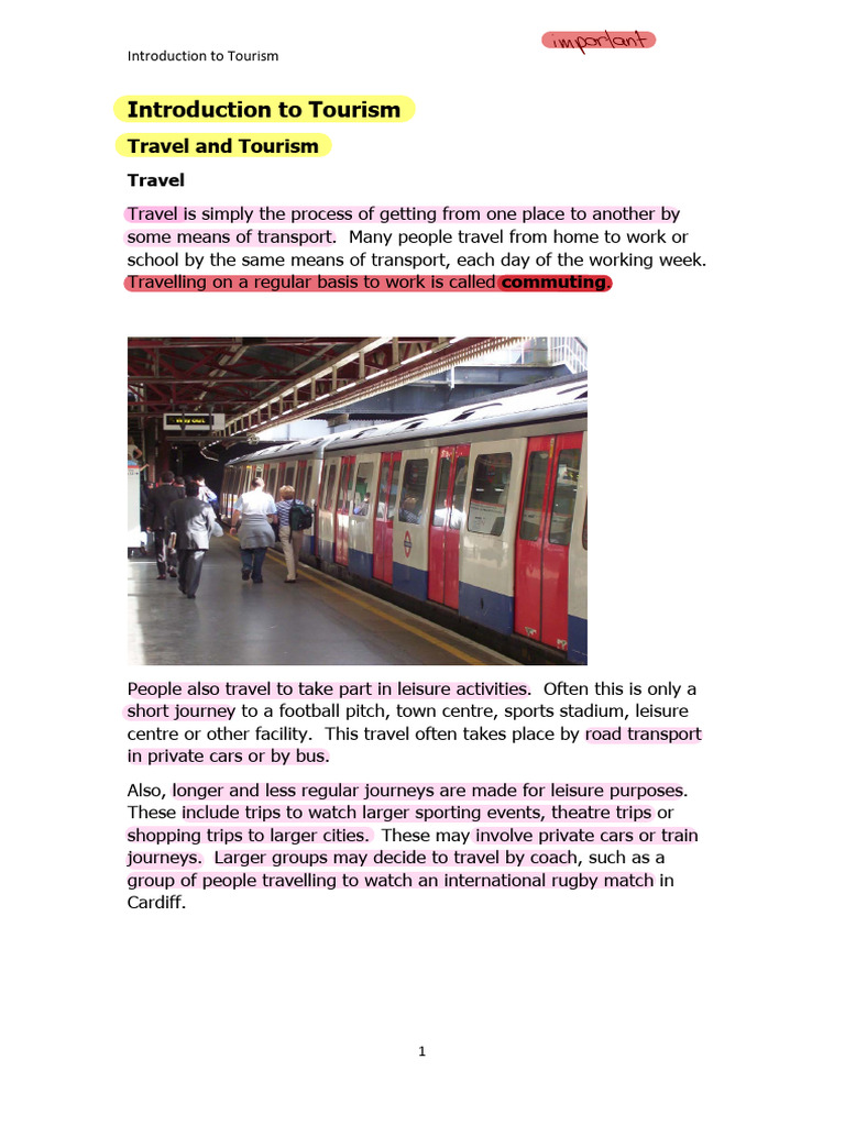 Understanding Tourism Basics | PDF | Low Cost Carrier | Tourism