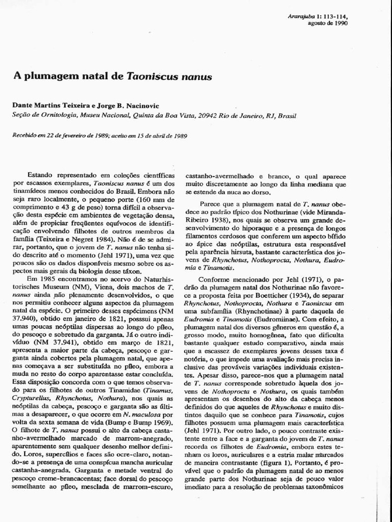 A Plumagem Natal de Taoniscus Nanus | PDF