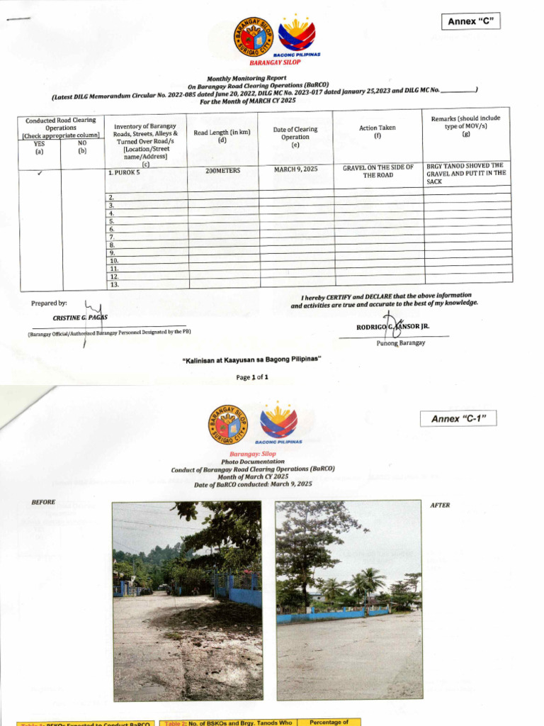 Brgy Silop Road Clearing March 2025 | PDF