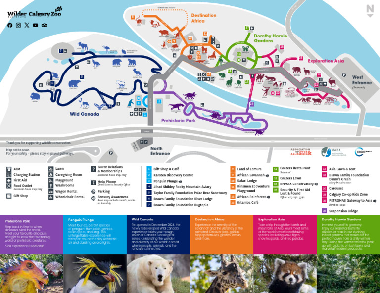 Explore Bugtopia and Wildlife Attractions | PDF | Fauna | Zoology