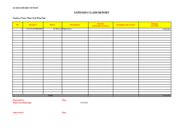Expense Claim Report 24-26.02.25 | PDF