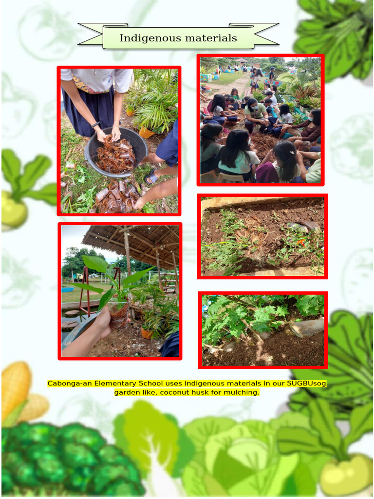 Indigenous and Recycled Materials | PDF