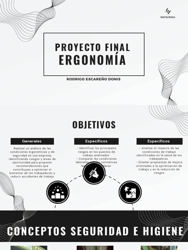 Proyecto Final Ergonomía | PDF
