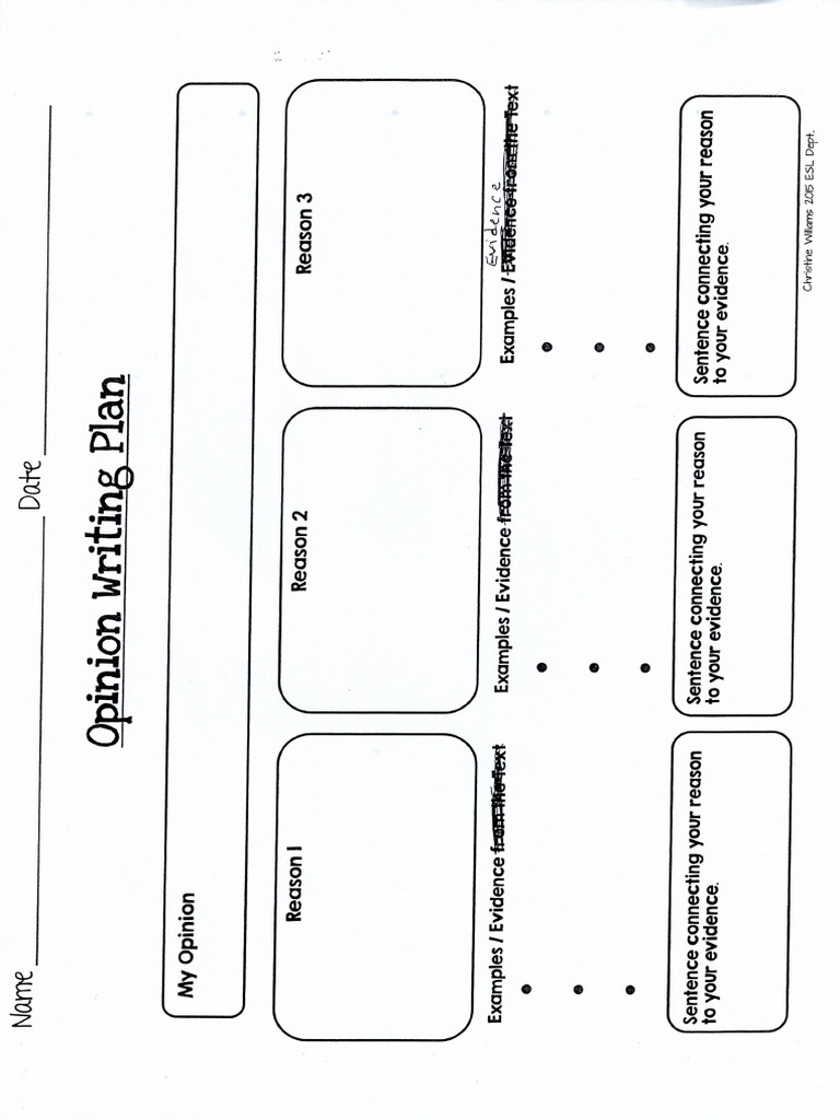 Opinion Essay Plan | PDF