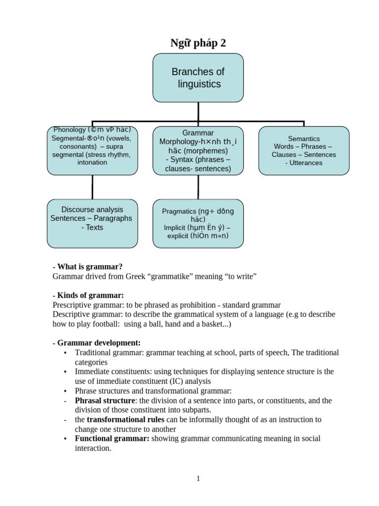 Understanding Grammar: Types and Structures | PDF | Adjective | Verb