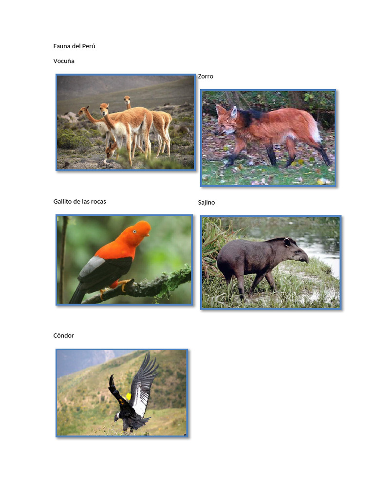 Fauna Del Perú | PDF