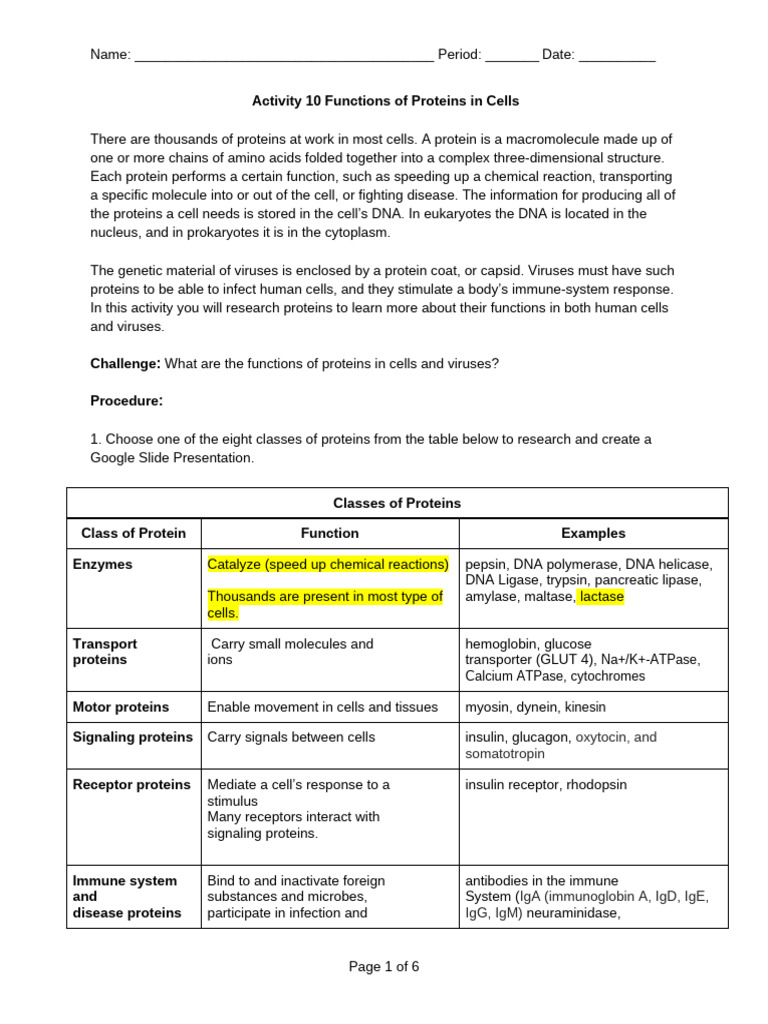 Alana Chestnut - Activity 10 Function of Proteins in Cells | PDF ...