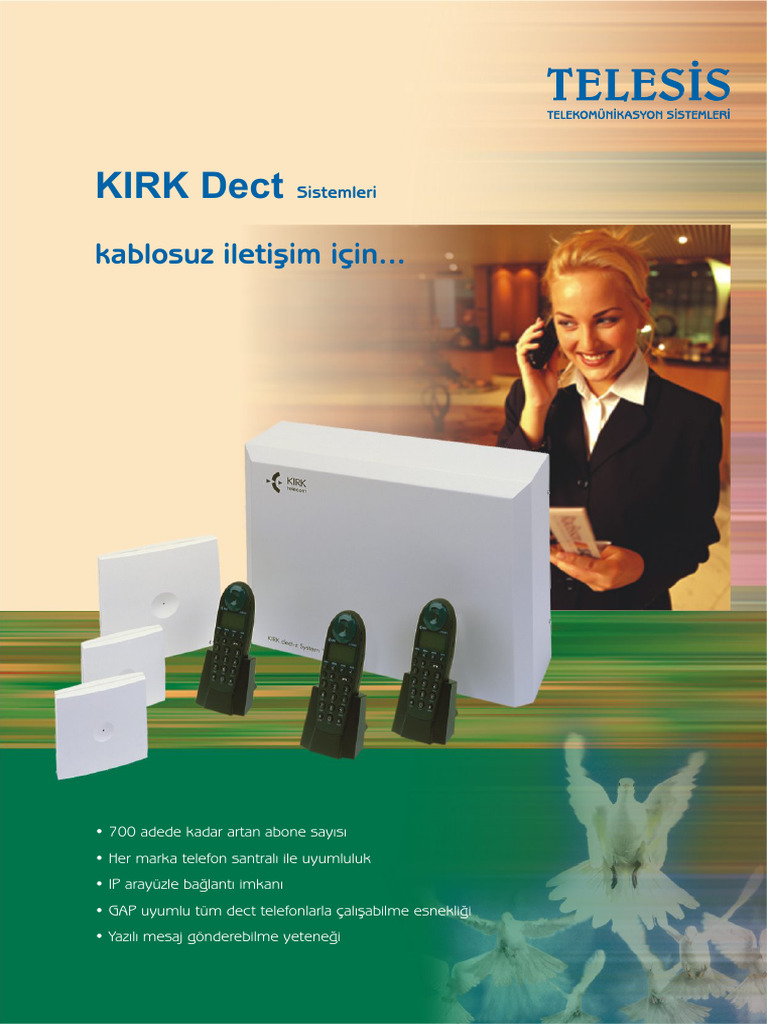 Telesis Kirik Dect Systems Turkish | PDF